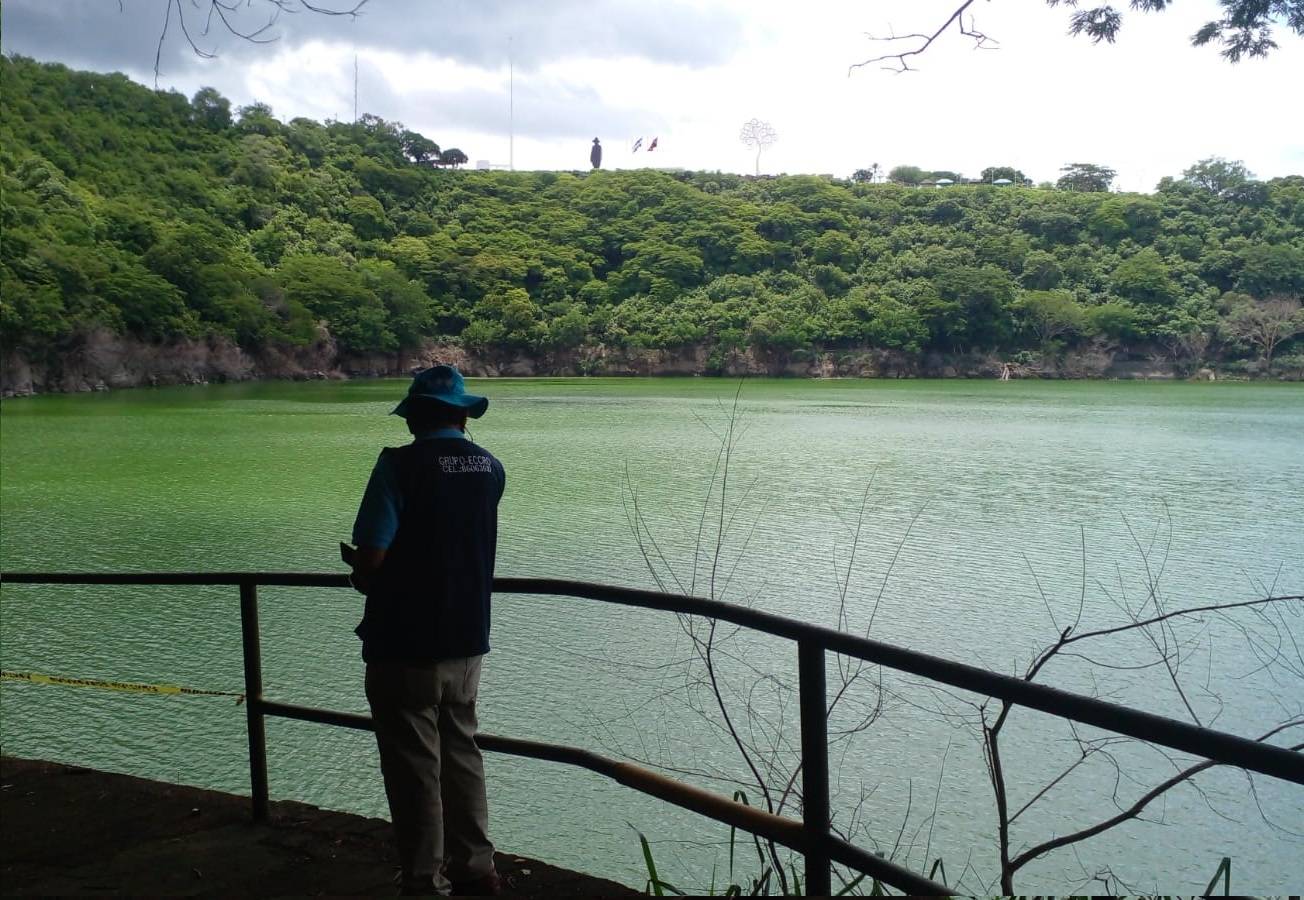 Principal Page ECCROSA